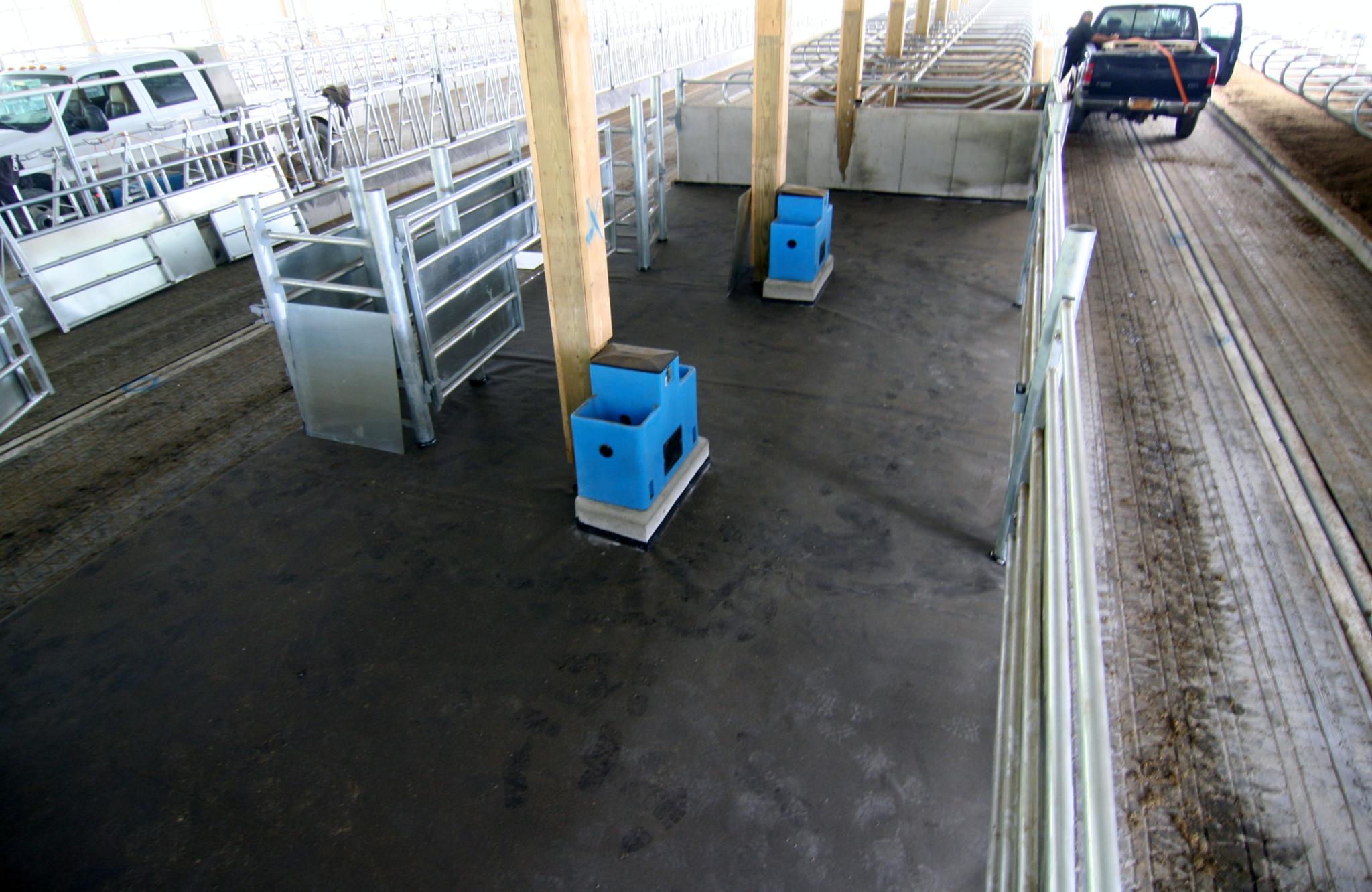 Where it all begins: solutions to keeping a clean calving pen « North ...