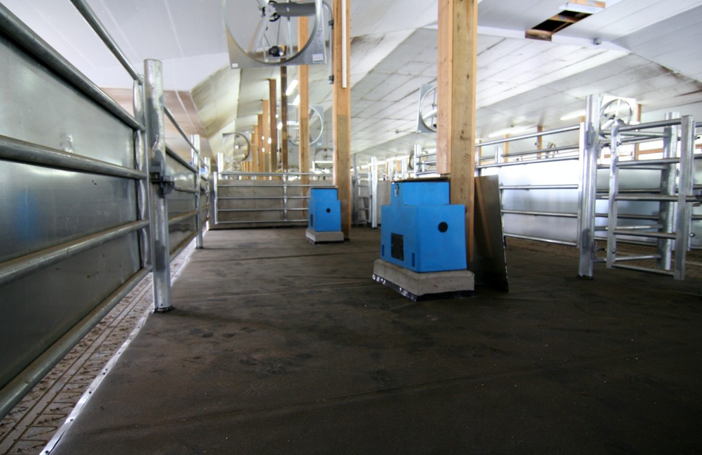 Where it all begins: solutions to keeping a clean calving pen « North ...
