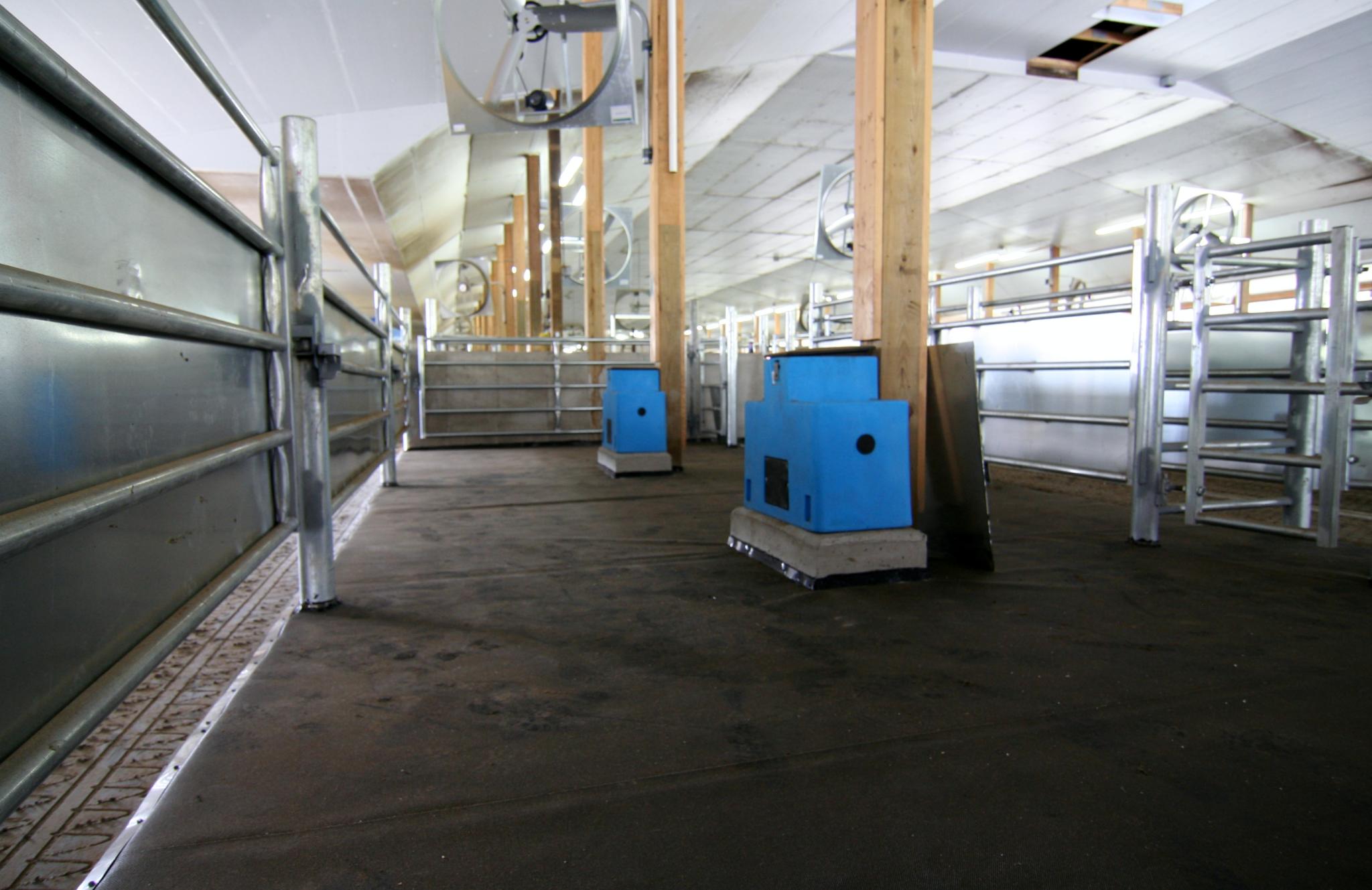 Where it all begins: solutions to keeping a clean calving pen « North ...
